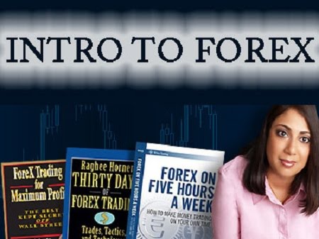 Raghee Horner – Intro To Forex | Aid the student