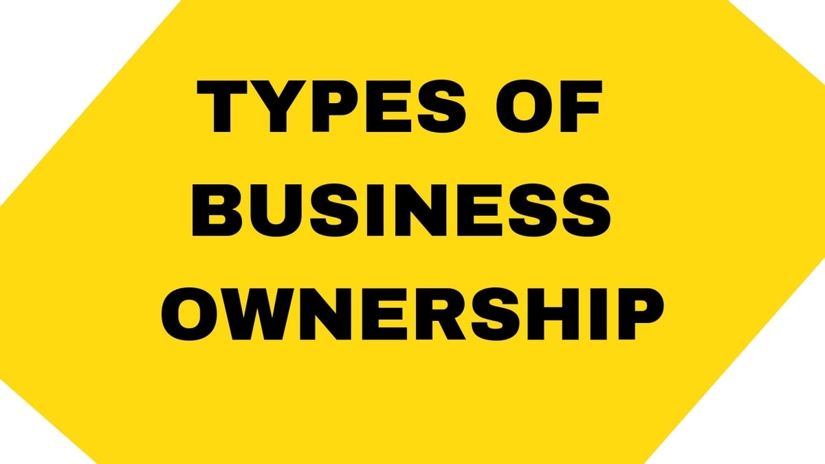 Types of Business Ownership & the Pros and Cons of Each | Aid the student